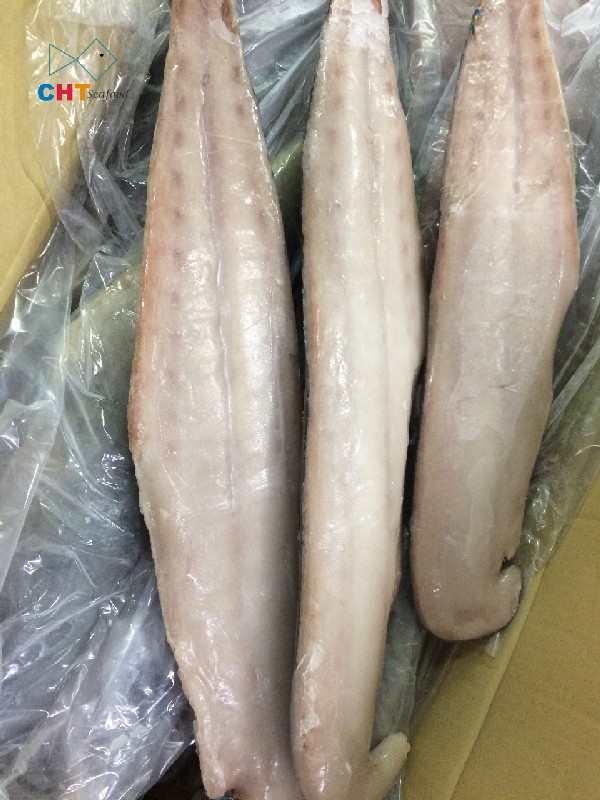 MAHI MAHI | CHT Seafood