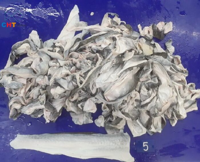 Pangasius | CHT Seafood